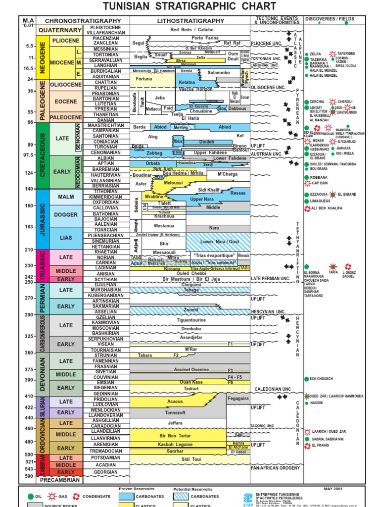 Stratigraphic PDF | PDF | Stratigraphy | Earth Sciences