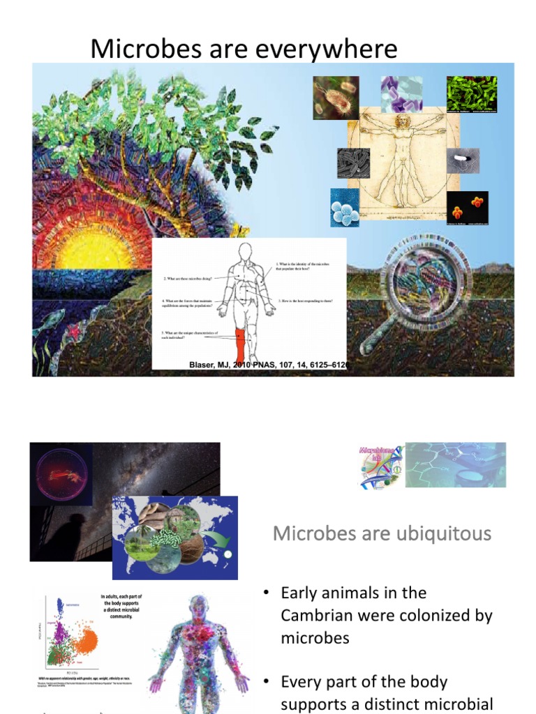 Microbes) Are) Everywhere: The New Science of Metagenomics | PDF