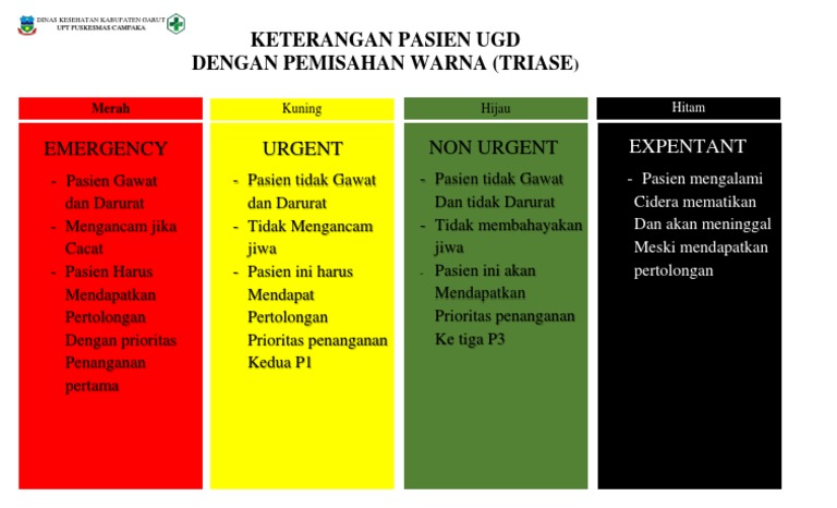 TRIASE | PDF