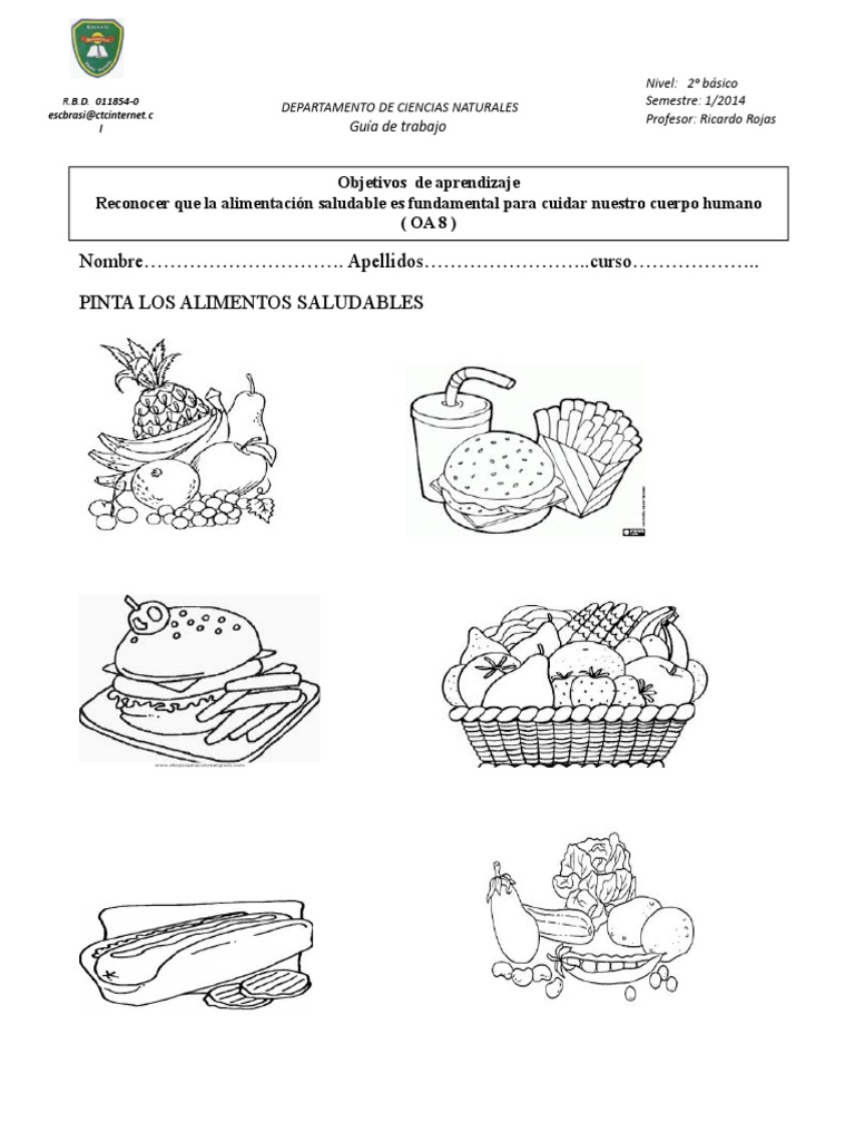 Guia 1 Alimentación Saludable Pdf