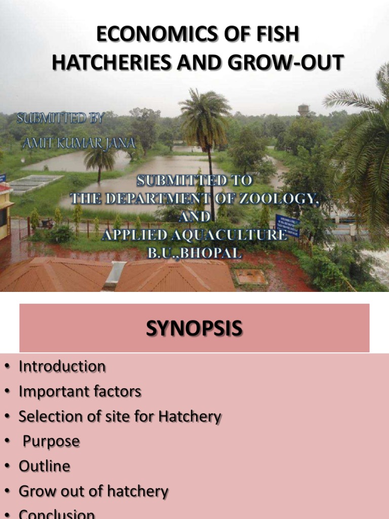 Economics of Fish Hatcheries and Grow Out | PDF | Fishery | Aquaculture