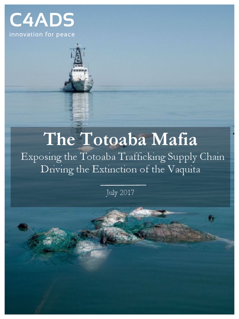 Totoaba Reporte | PDF | Organized Crime | Cites