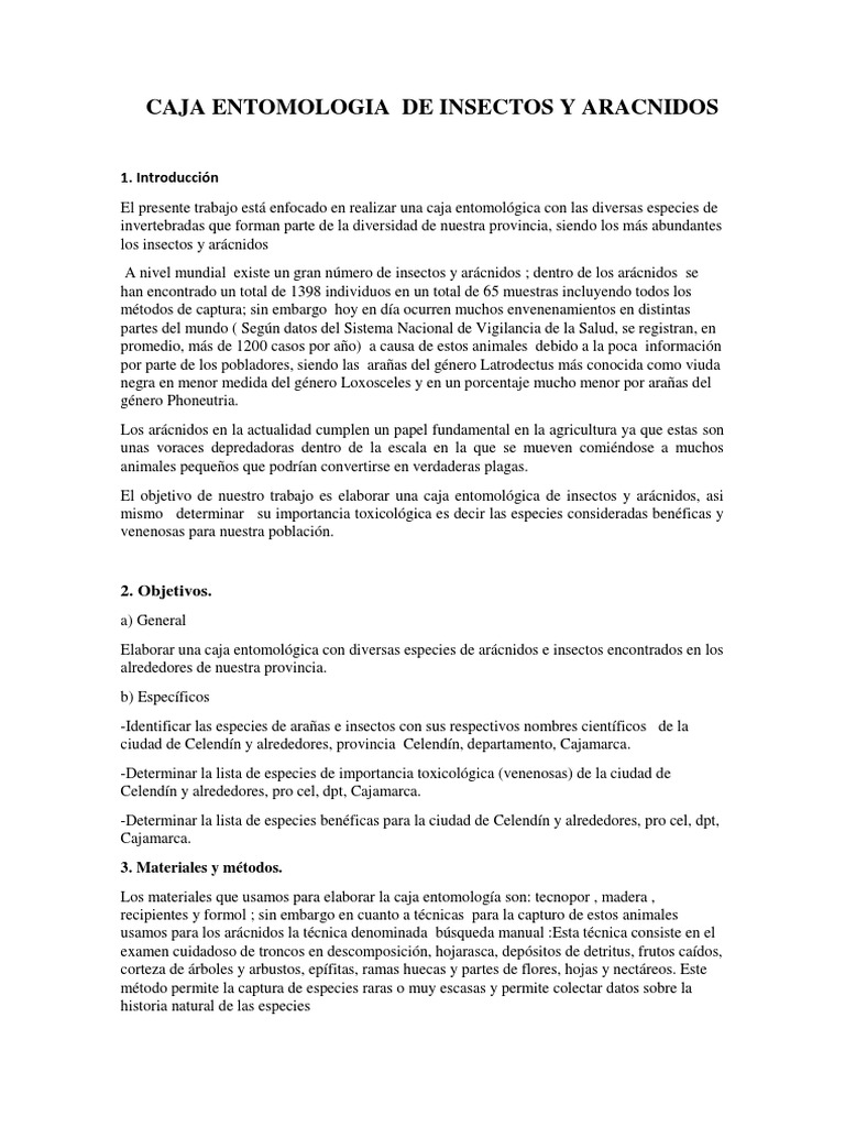 Caja Entomológica de Insectos y Arácnidos | PDF | Araña | Insectos