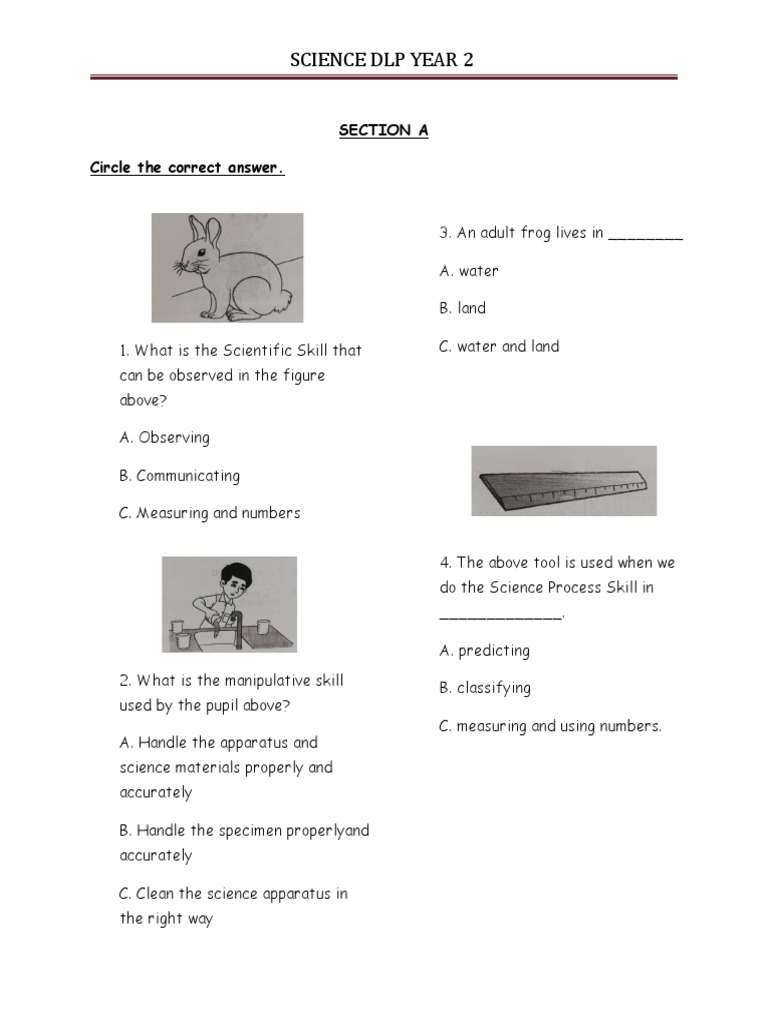 Science DLP Year 2 Section A | PDF | Egg | Science