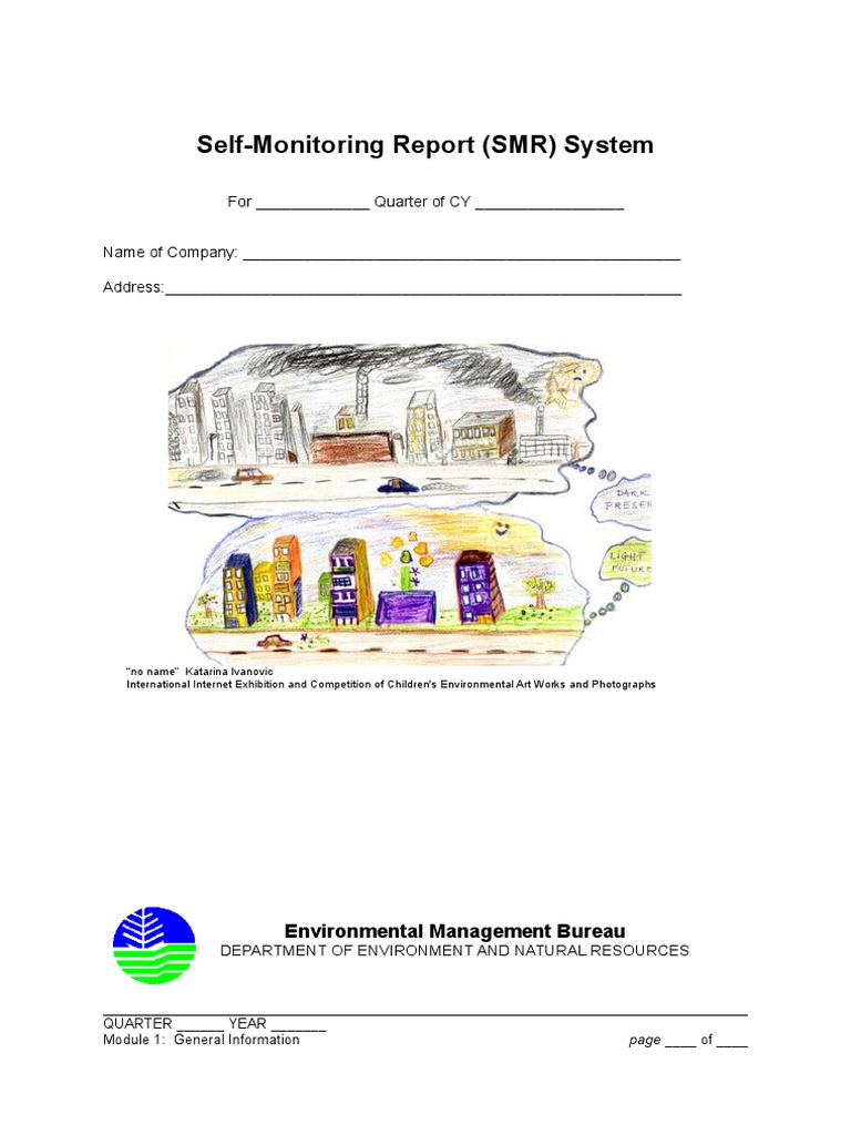 SMR Form | PDF | Hazardous Waste | Waste Management