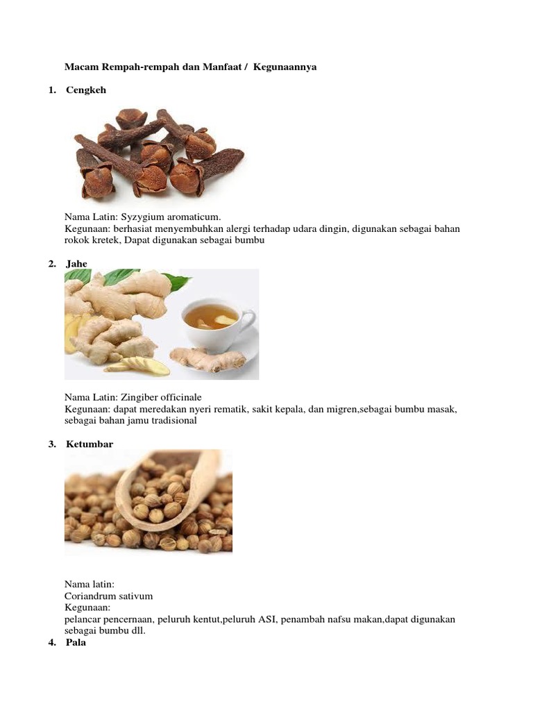 10 Macam Macam Rempah | PDF