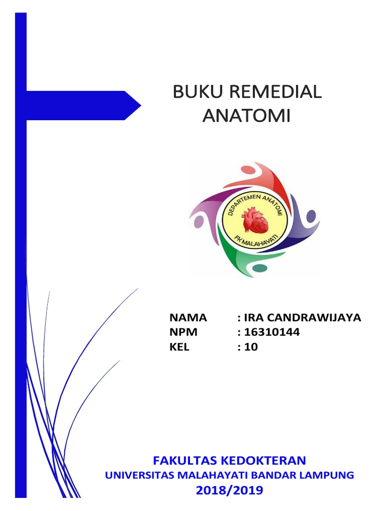 Cover Remed Anatomi | PDF