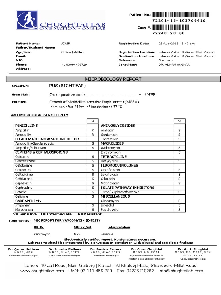 MSSA Ear Infection Report | PDF