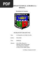 Epipedon y Endopedon | PDF | Arcilla | Suelo