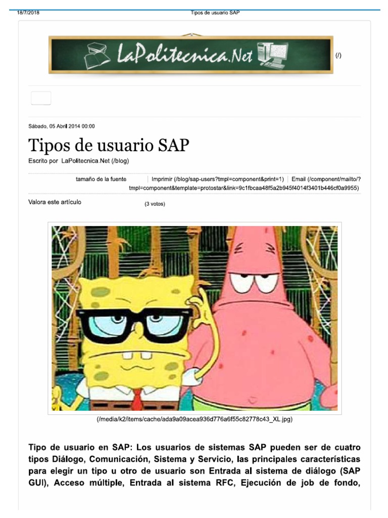 Tipos de Usuario Sap | PDF