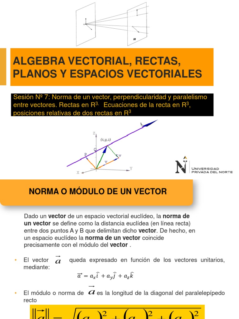 Algebra Vectorial, Rectas, Planos Y Espacios Vectoriales | PDF | Norma ...
