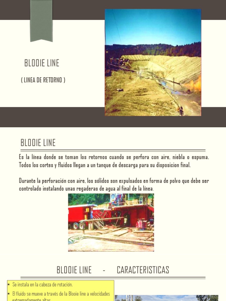 Blooie Line | PDF