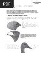 Jenis Paruh Burung Dan Fungsinya | PDF