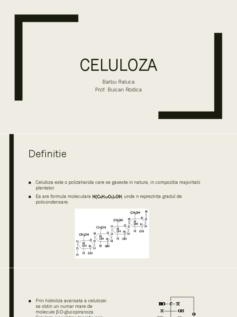 Celuloza