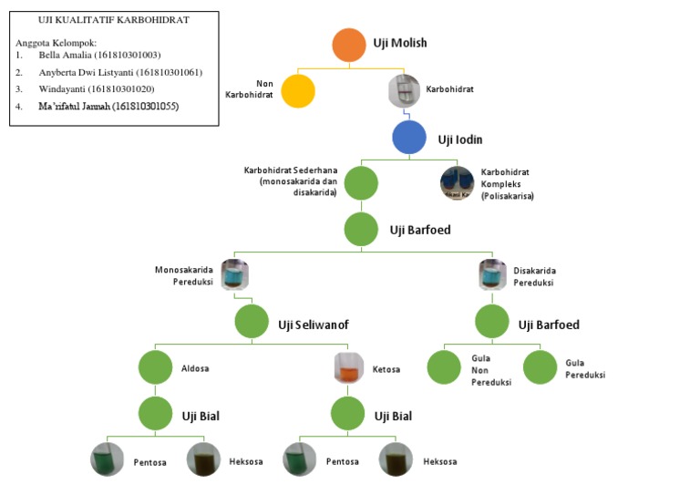 Bagan Uji Karbohidrat | PDF