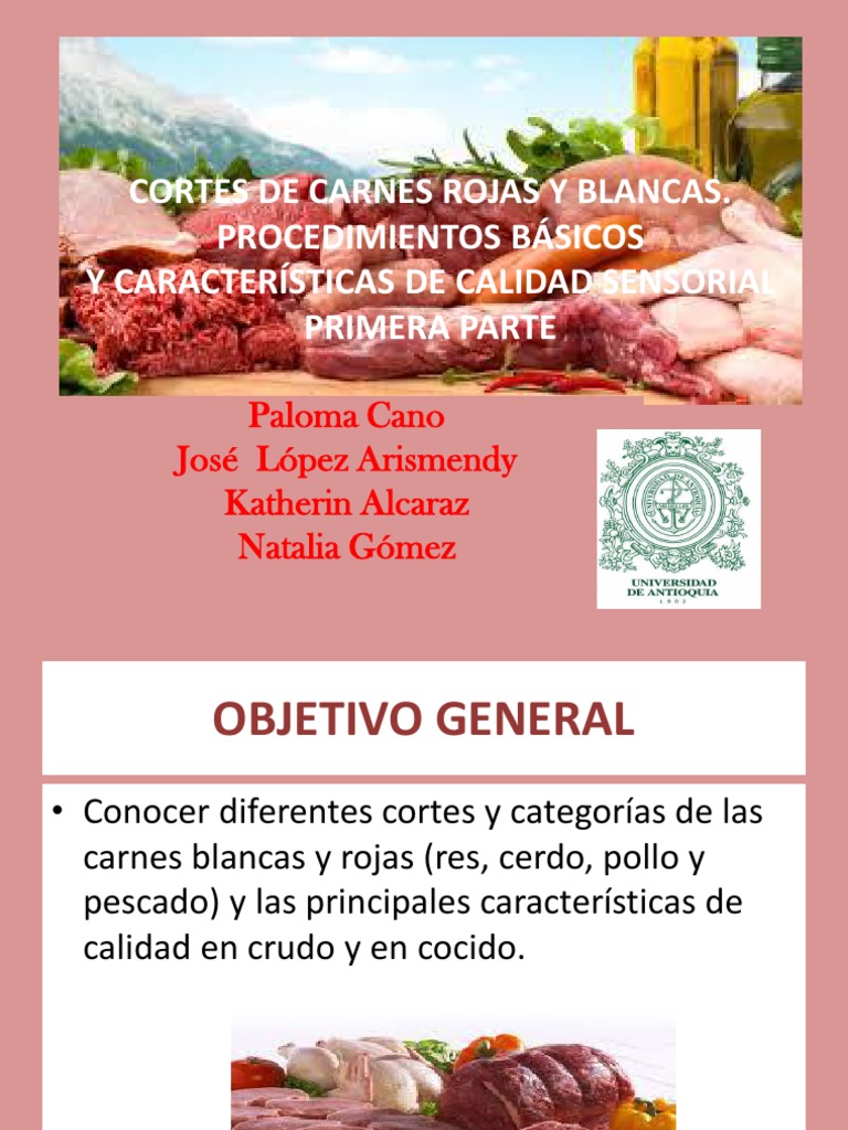 Glosario Internacional De Cortes Carnicos Pdf Menudencias Carne