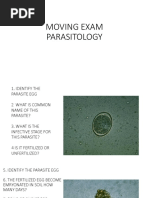 Flotation Technique | PDF | Human Feces | Parasitism