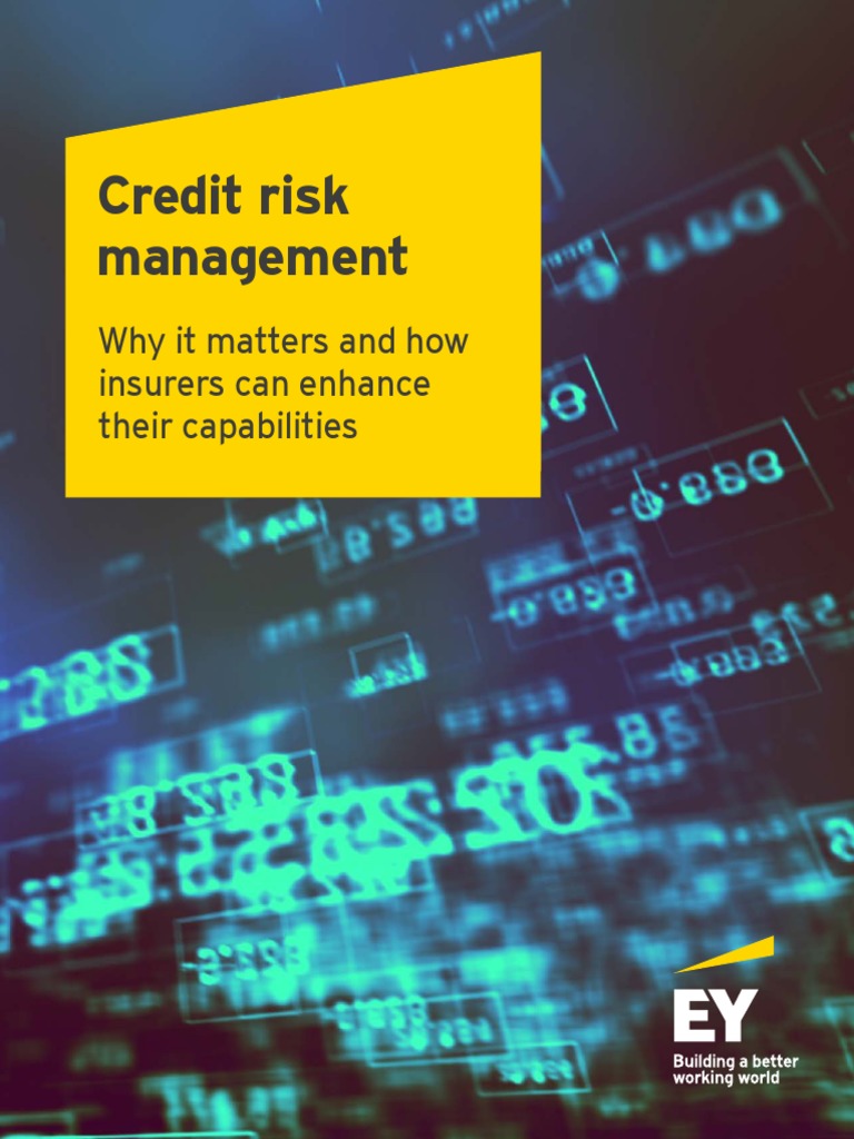 EY Credit Risk Management | PDF | Credit Risk | Risk