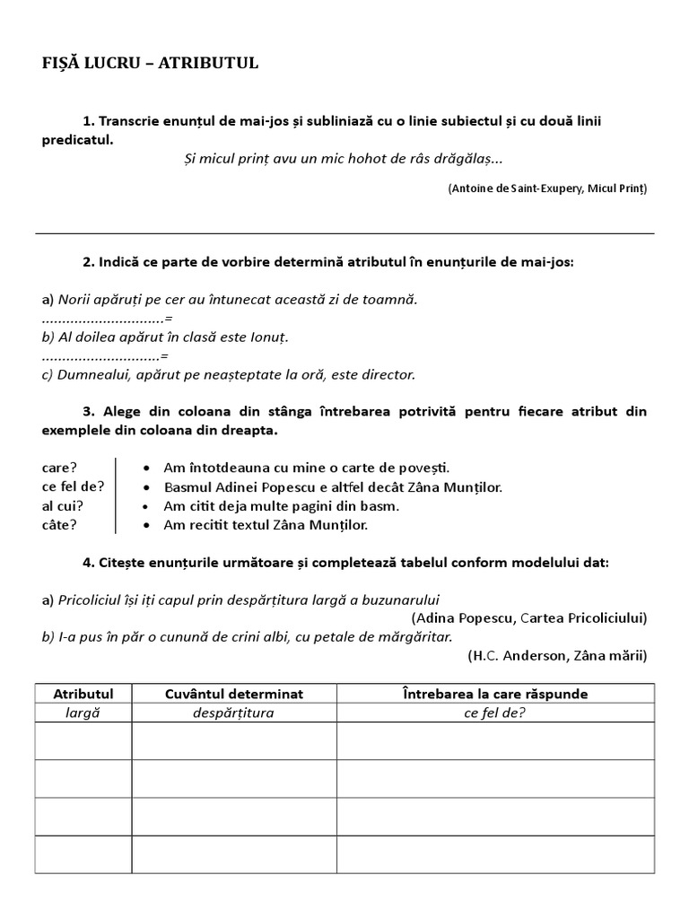 Fisa Atributul | PDF