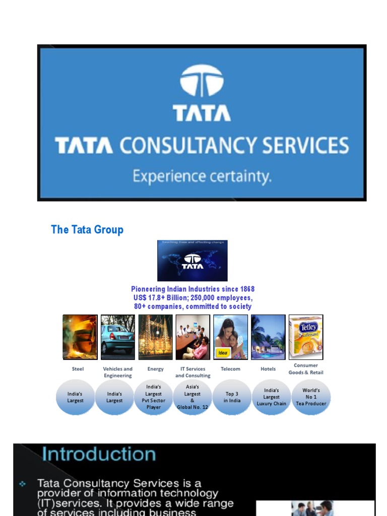 TCS Growth Strategy and Performance Insights | PDF | Strategic ...