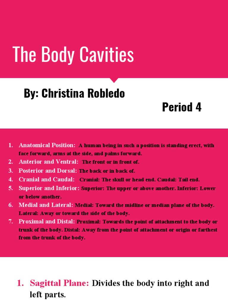 Body Cavities Prez | PDF | Anatomical Terms Of Location | Abdomen