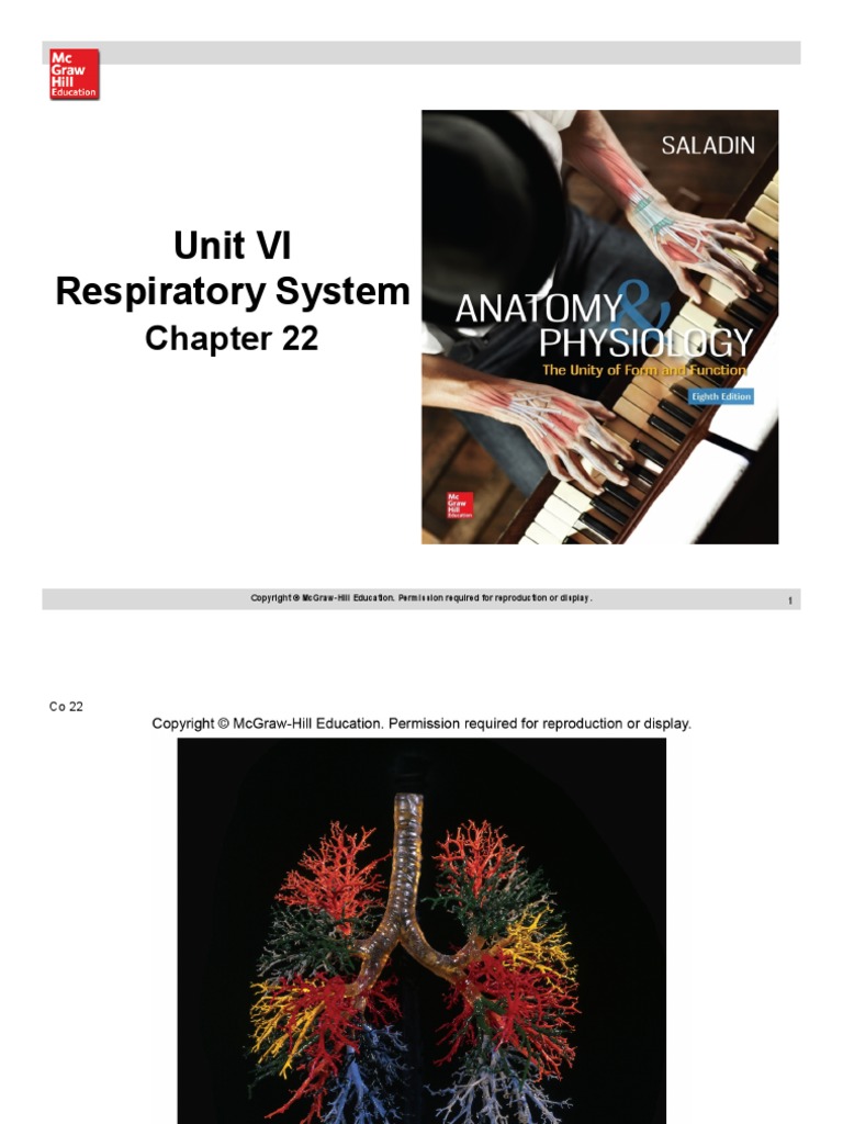 Unit VI Powerpoint Slides | PDF | Lung | Larynx