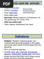 Rodent Skull Identification Guide | PDF | Tooth | Rodent