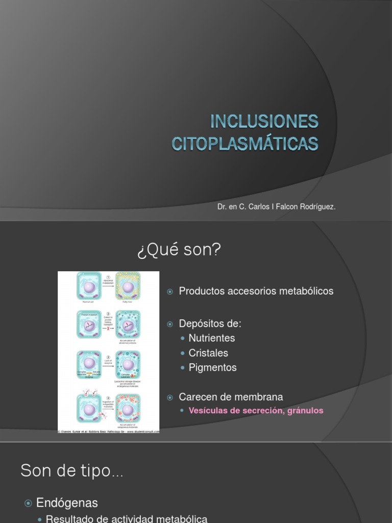 Inclusiones Citoplasmáticas: Tipos y Funciones | PDF