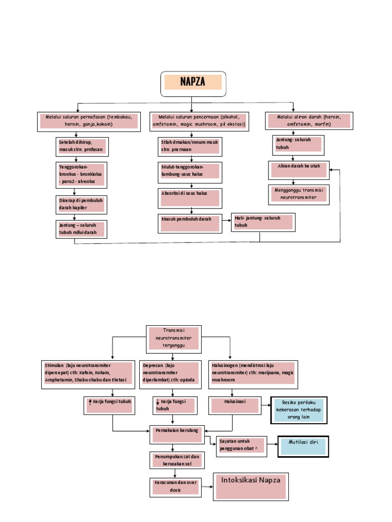 Woc Penyalahgunaan Napza | PDF