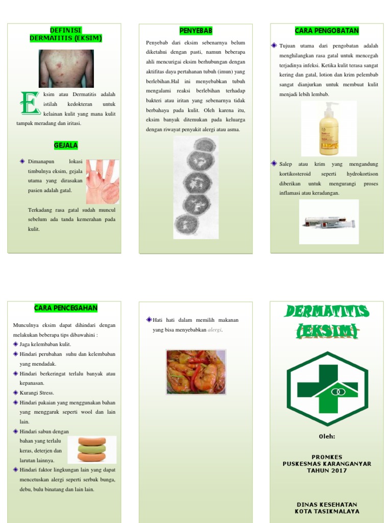 Leaflet Dermatitis | PDF