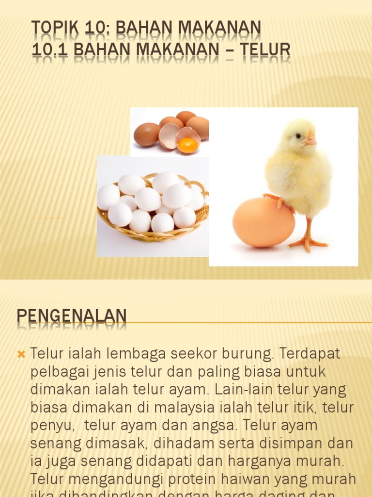 Topik 10 Telur | PDF