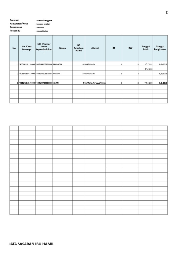 Form Data Sasaran Ibu Hamil | PDF