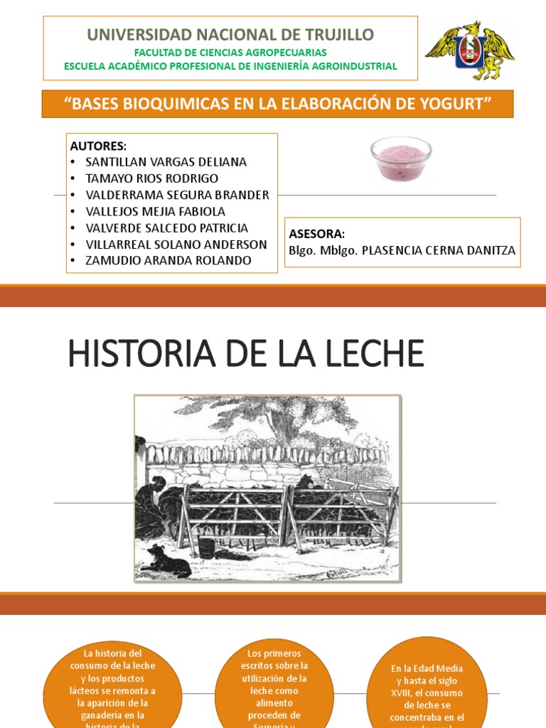 Historia de La Leche | PDF | Yogur | Leche