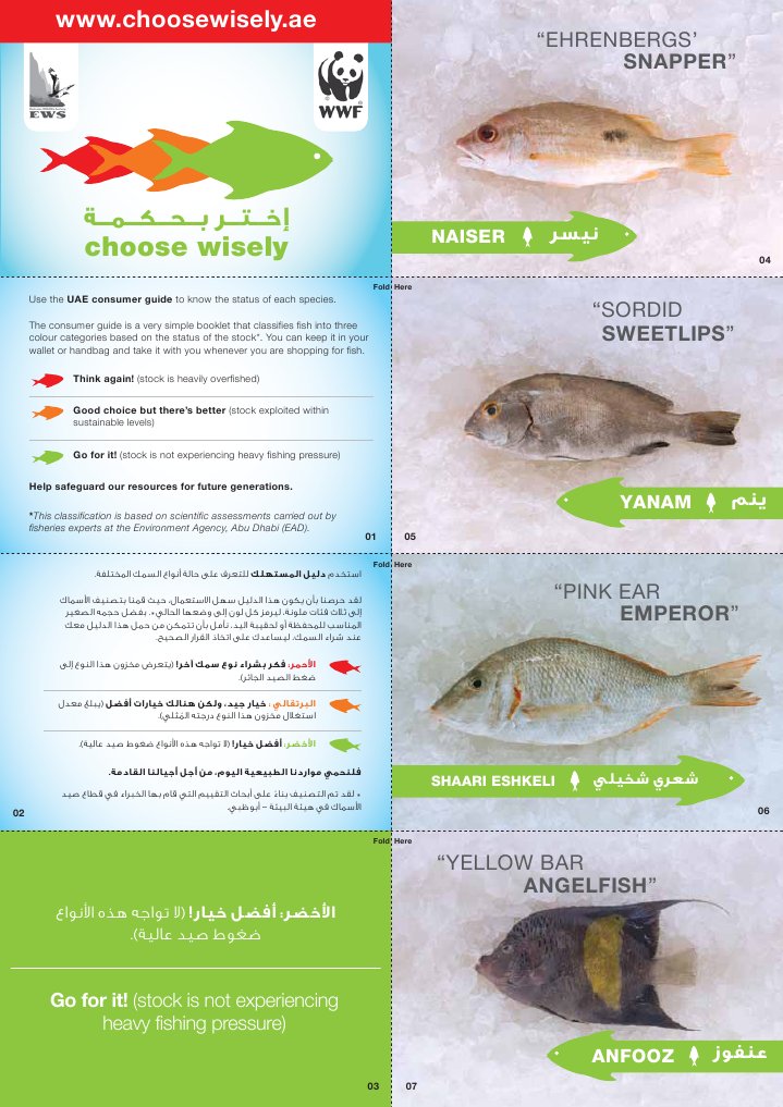 UAE Fish Species Consumer Guide | PDF