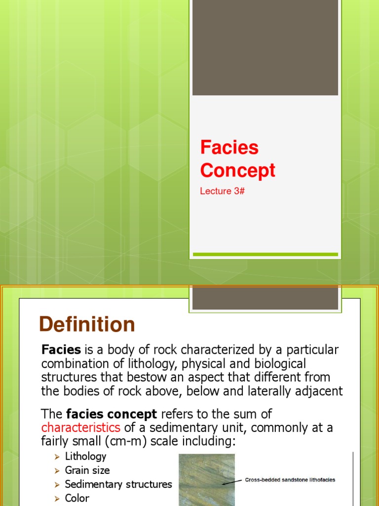 Facies Concept: Lecture 3# | PDF | Sedimentary Rock | River Delta