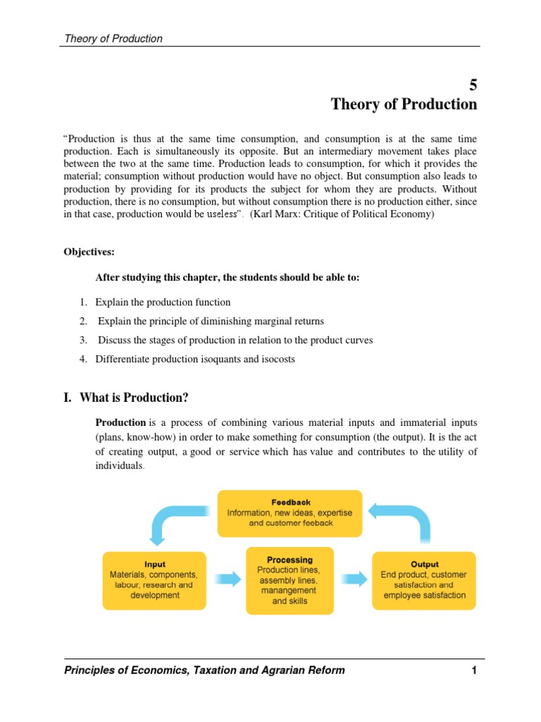 Theory of Production | PDF | Factors Of Production | Production Function