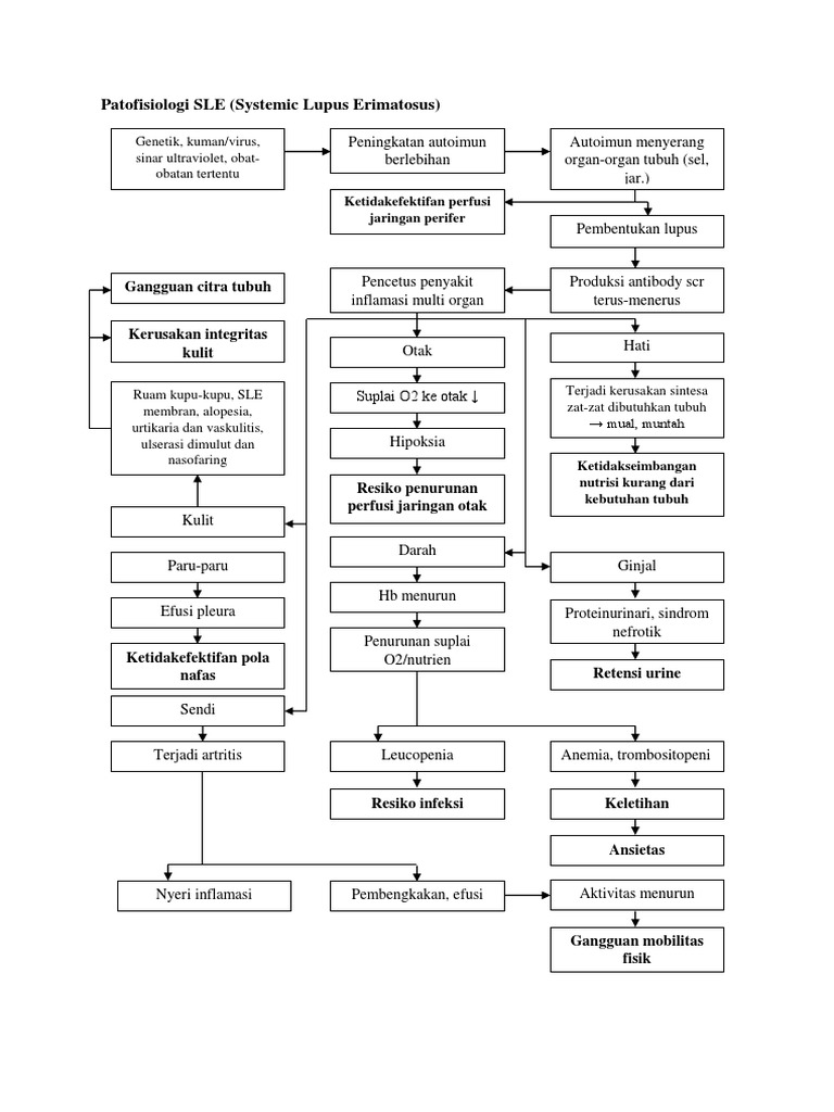 Patofisiologi SLE | PDF