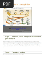 Code Postal Des Quartiers de Marrakech | PDF