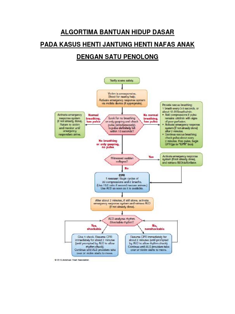 Algoritma Pals | PDF | Kesehatan Holistik