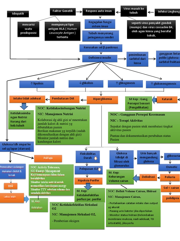 Woc DM Juvenile | PDF