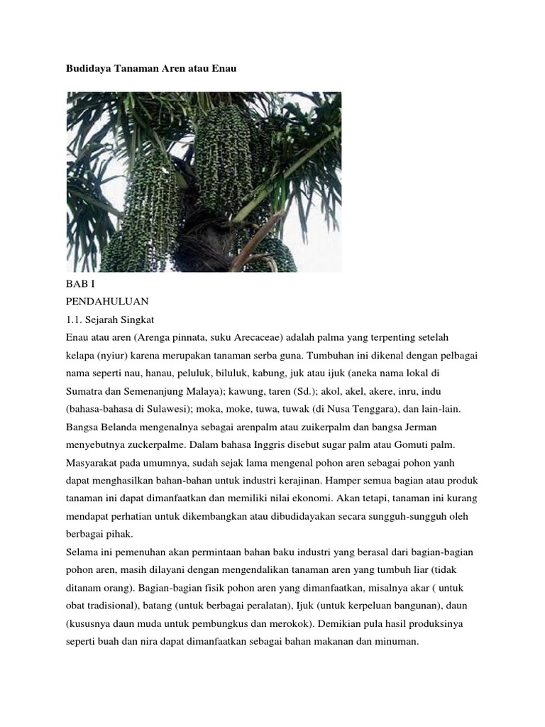 Budidaya Tanaman Aren Atau Enau | PDF | Griya & Taman