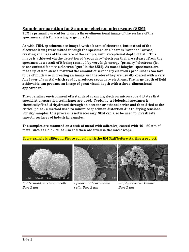 SEM Sample Preparation PDF | PDF | Scanning Electron Microscope ...
