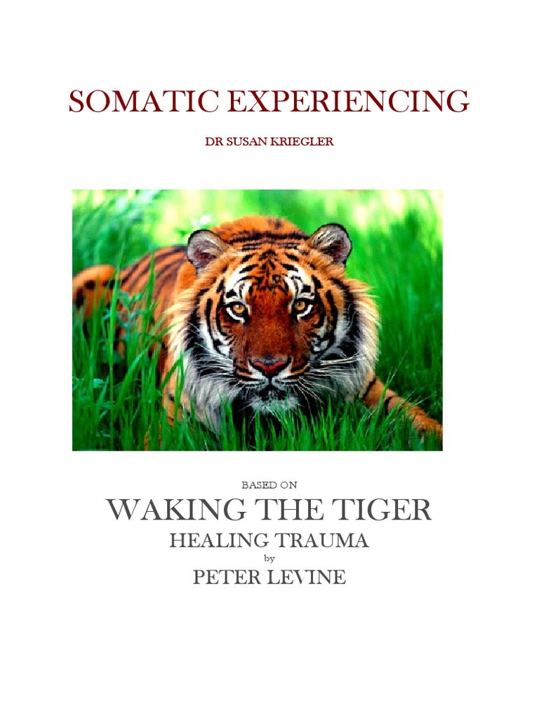 Walking The Tiger | PDF | Vortices | Psychological Trauma