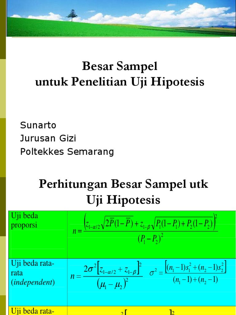 Besar Sampel Untuk Uji Hipotesis | PDF