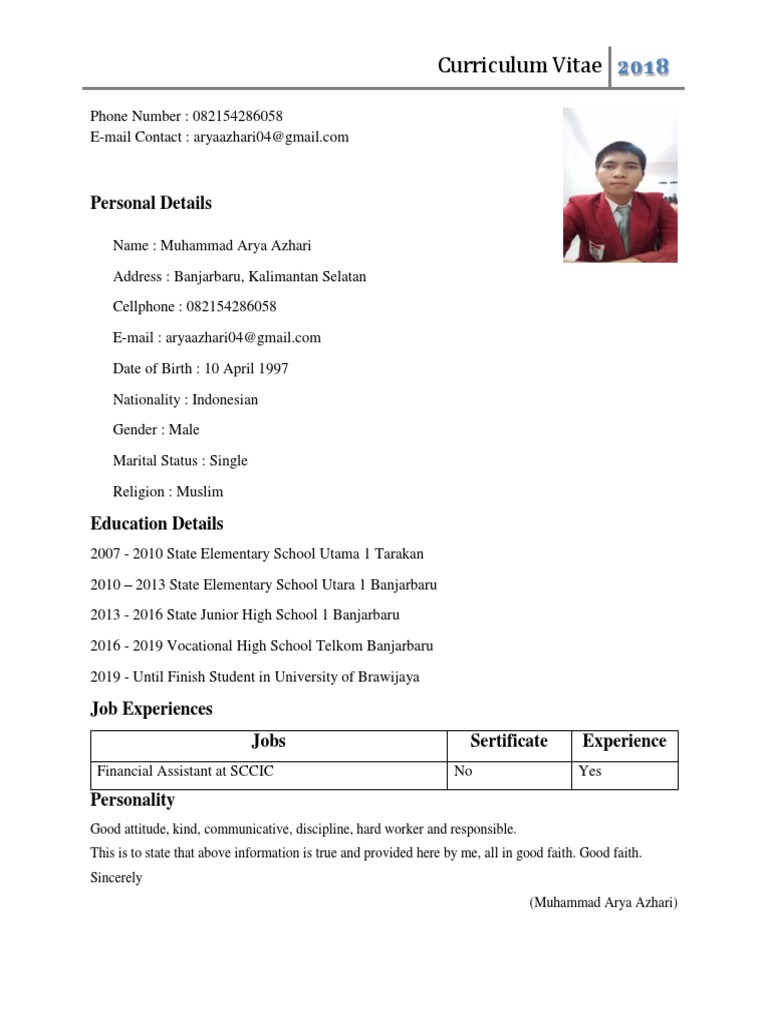 Curriculum Vitae Fake | PDF
