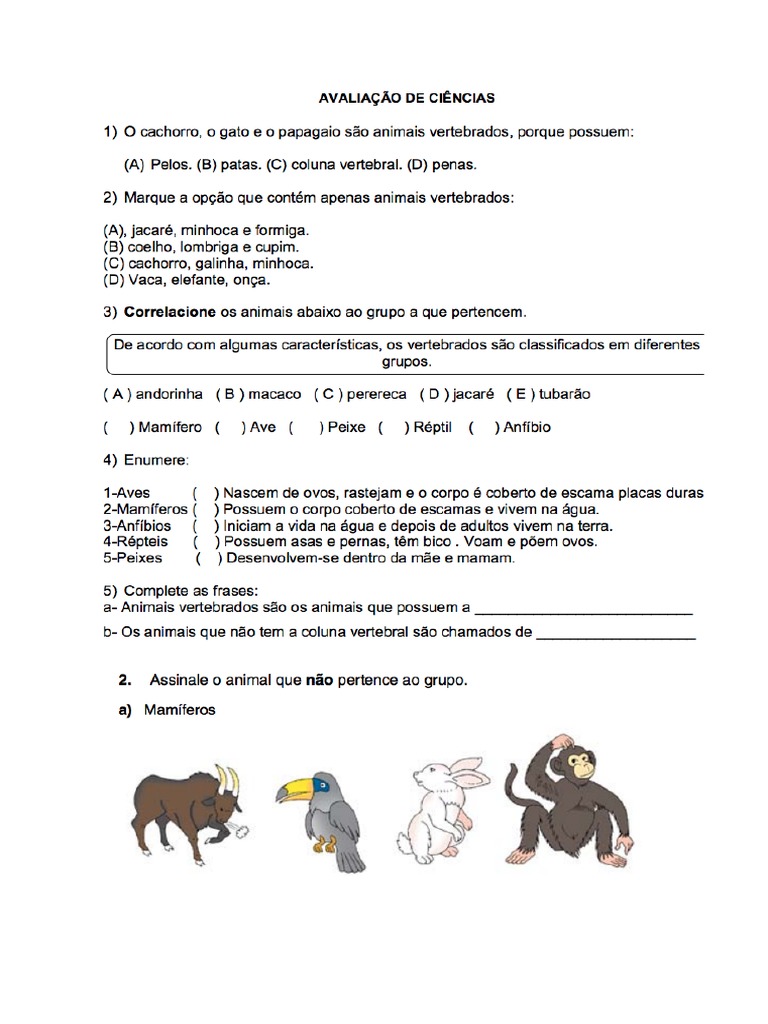 Avaliacao Ciencias 3o Ano Fundamental | PDF
