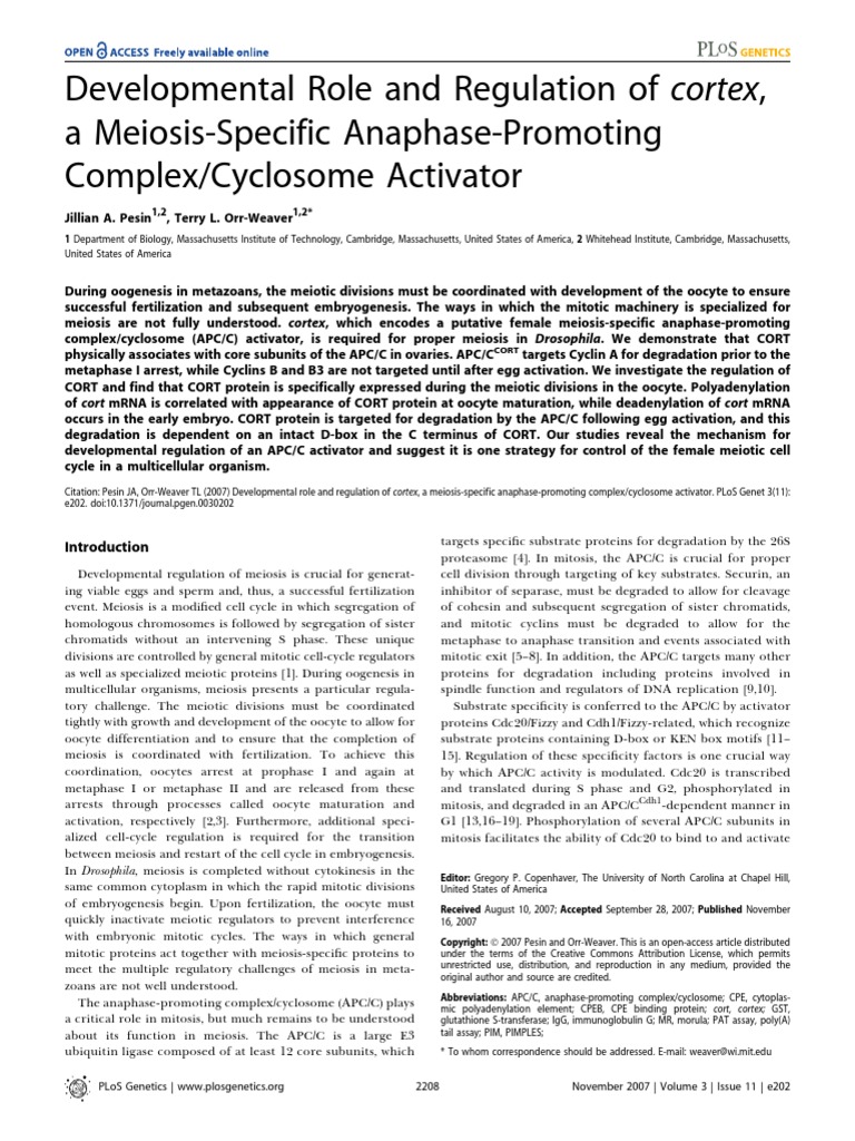 Developmental Role and Regulation of Cortex, A Meiosis-Specific ...