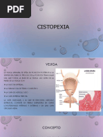 CISTOCLISIS | PDF | Vejiga urinaria | Orina