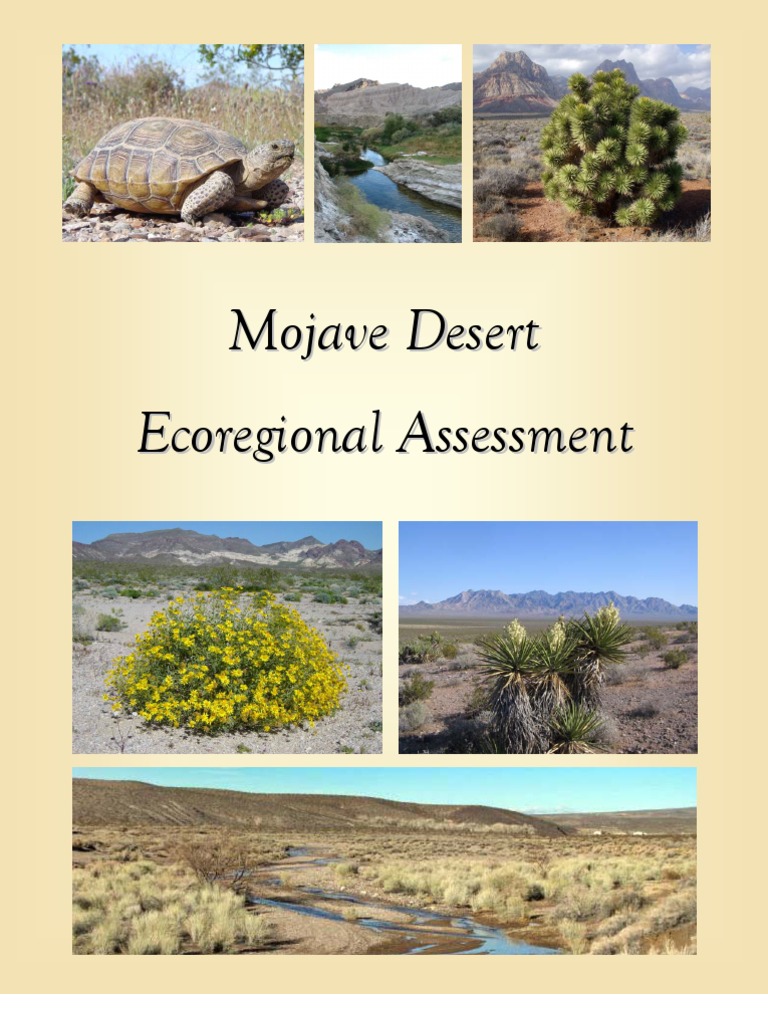 The Nature Conservancy's Mojave Desert Ecoregional Assessment 2010 ...
