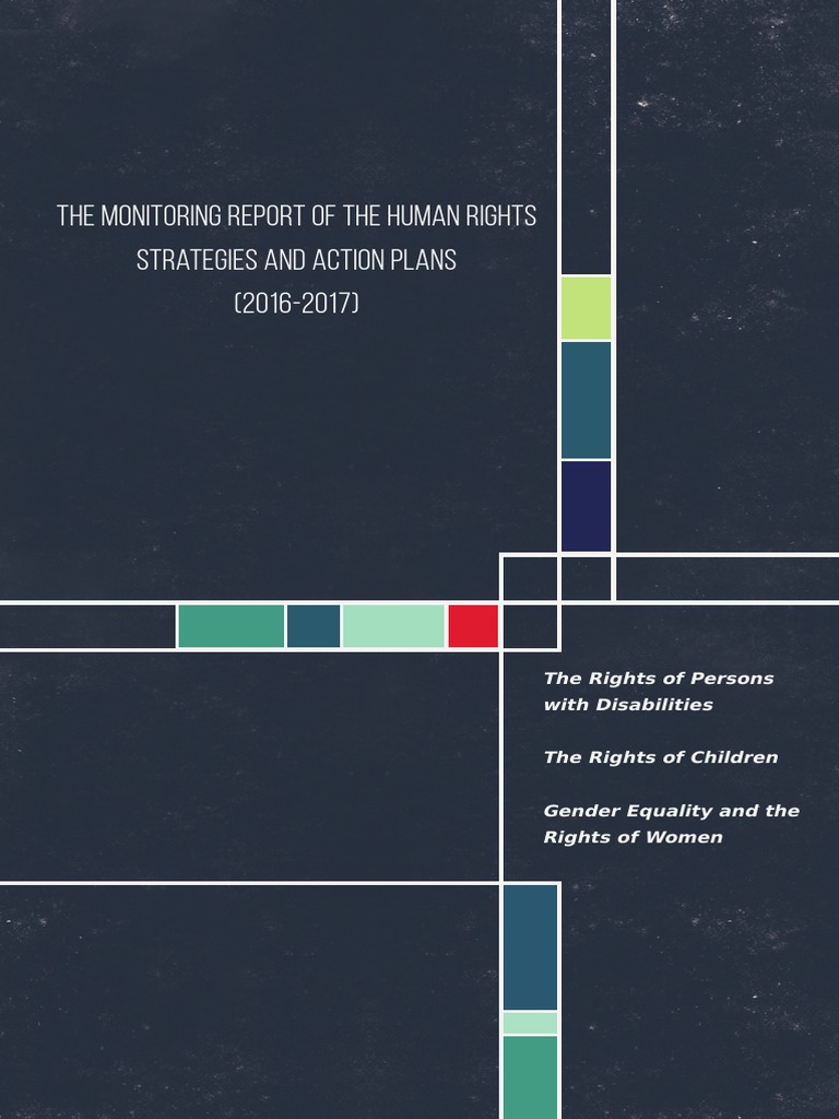 Human Rights Action Plan Monitoring Report (2016-2017) | PDF | Human ...